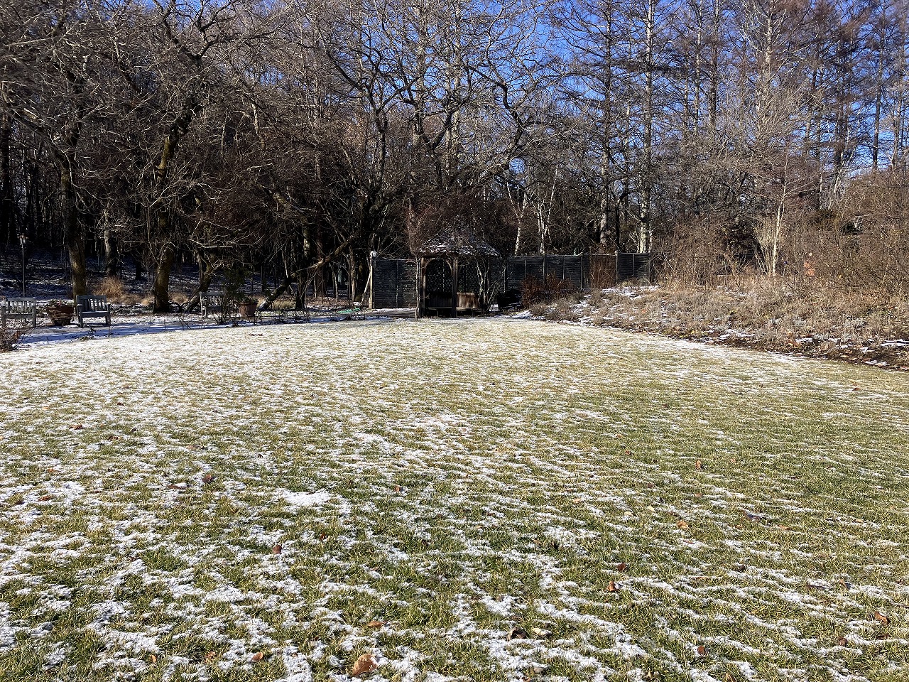 12月27日のガーデン | 蓼科高原バラクライングリッシュガーデン